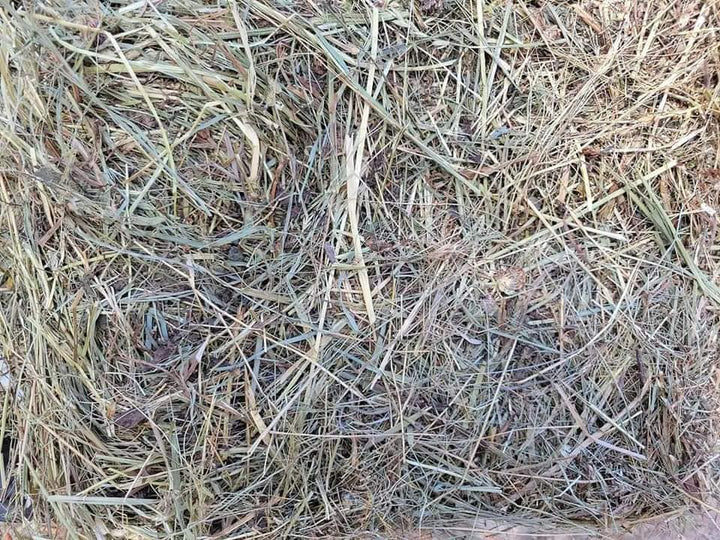www.thehaydudes.com – The Hay Dudes Online Shop